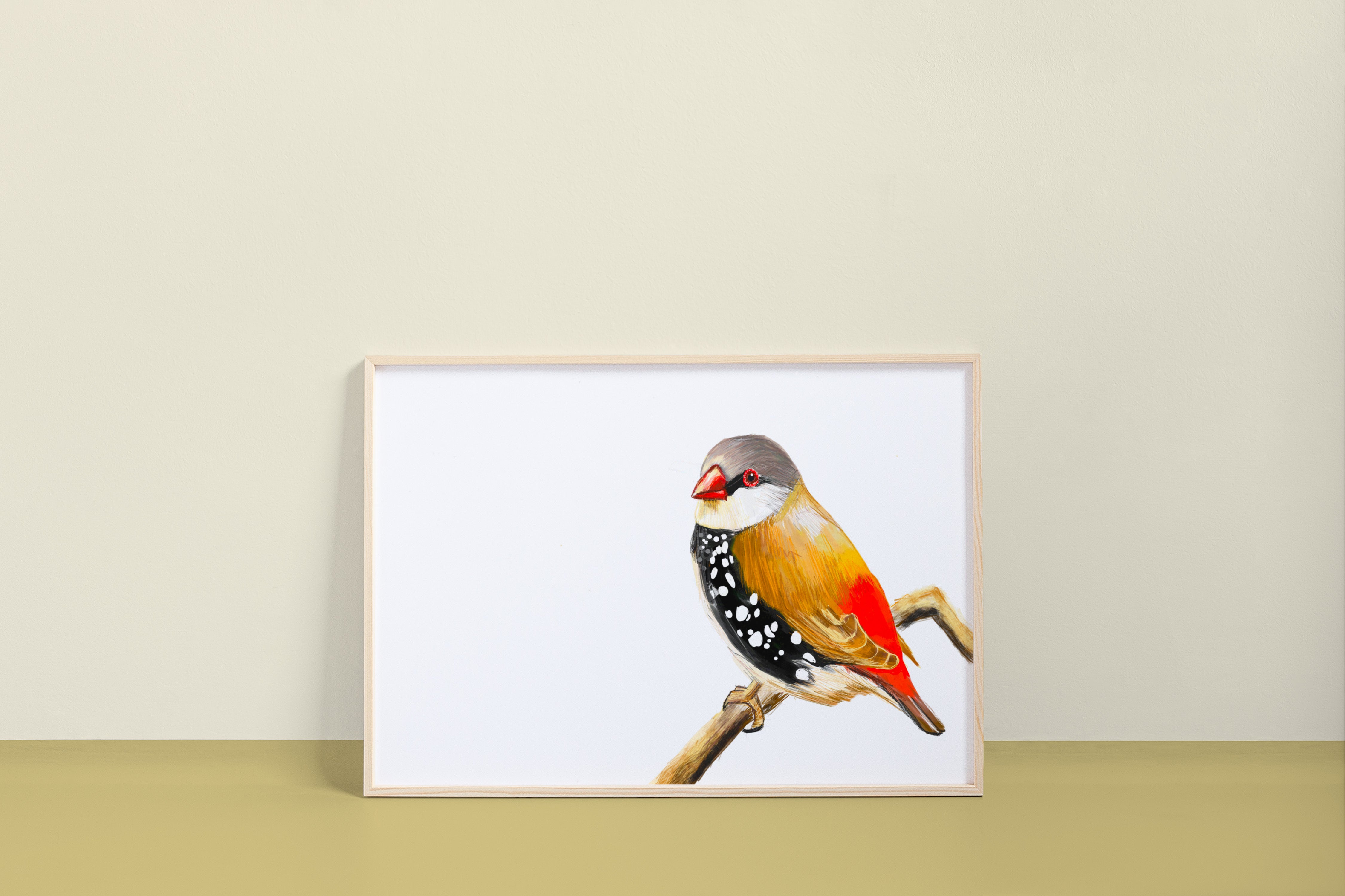 Diamond Firetail Finch Art Print – resetreality