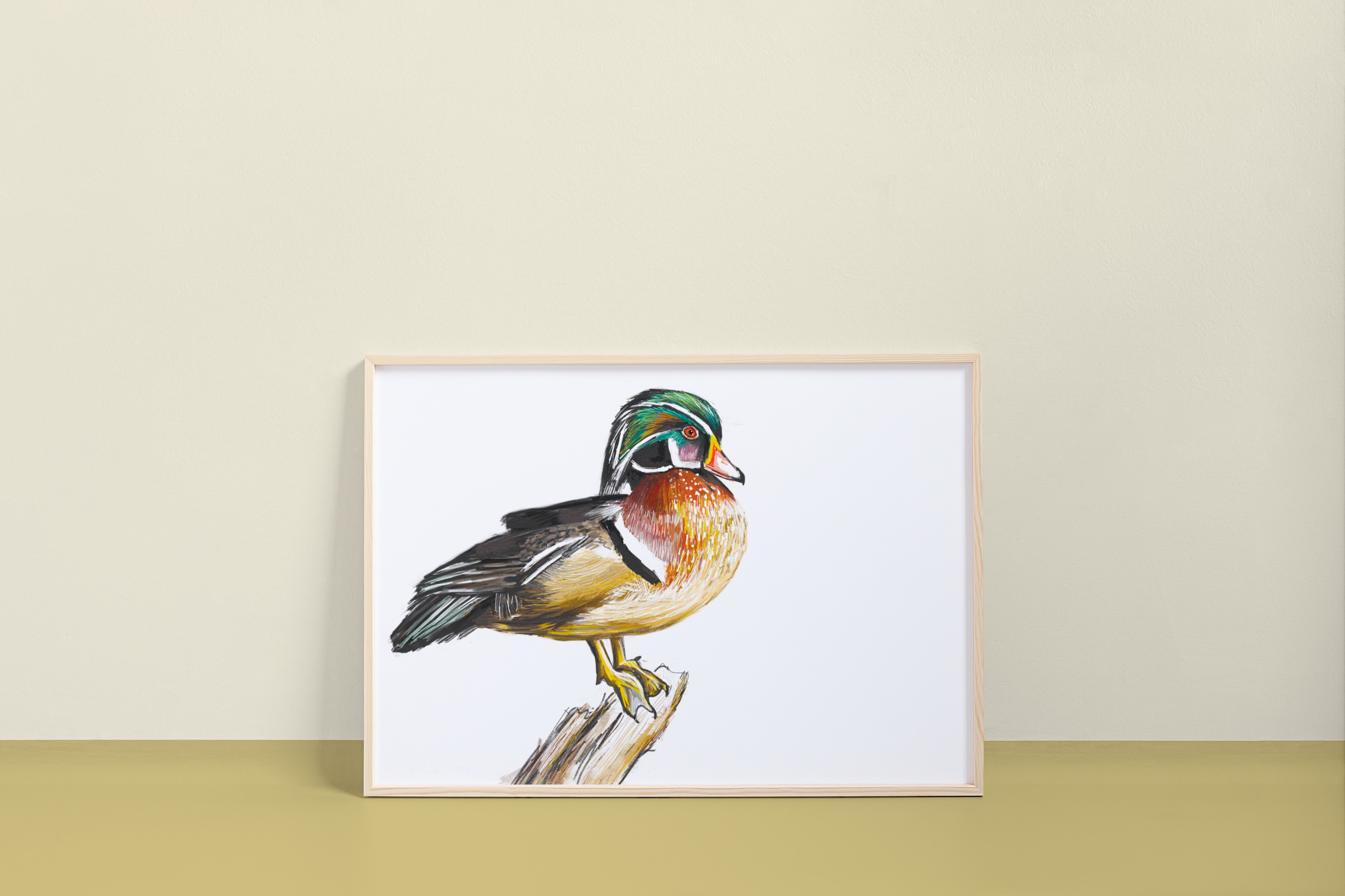 Wood Duck Art Print – resetreality